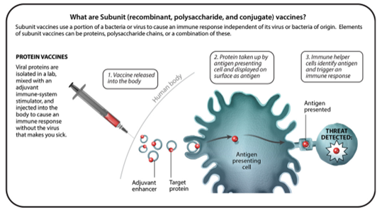 TOPIC : UNDERSTANDING VACCINE TECHNOLOGIES - Lukmaan IAS Editorials
