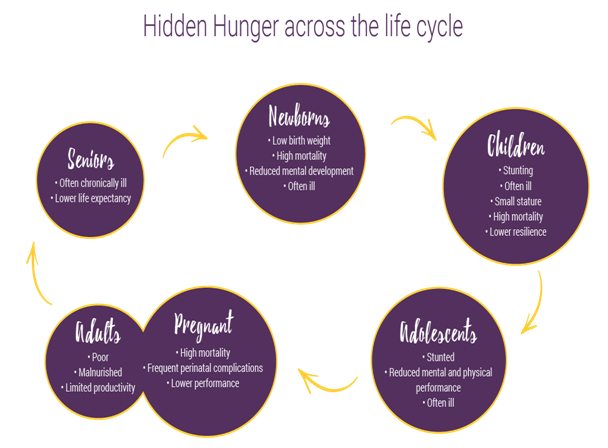 TOPIC : BIOFORTIFICATION- THE KEY TO ADDRESSING HIDDEN HUNGER IN INDIA ...