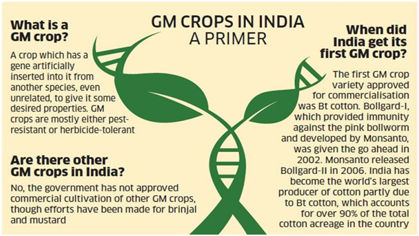 TOPIC : GENETICALLY MODIFIED CROPS- ISSUES AND WAY FORWARD - Lukmaan ...