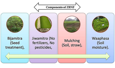 TOPIC : ZERO-BUDGET NATURAL FARMING- CAN IT DOUBLE FARMERS’ INCOME ...