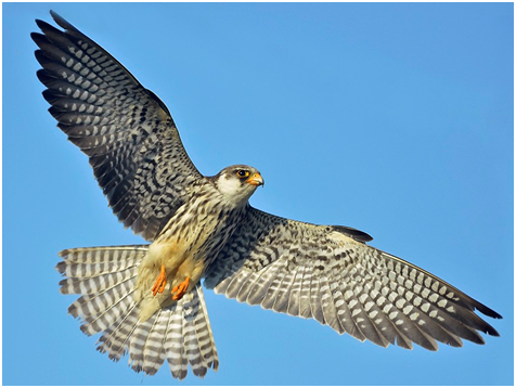 TOP 5 TAKKAR NEWS OF THE DAY (16th OCTOBER 2023) - Lukmaan IAS Current ...