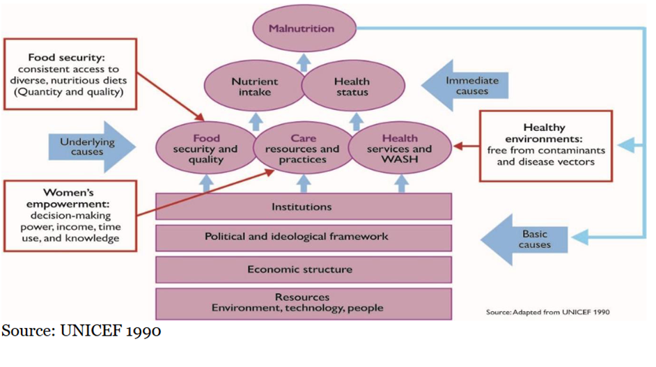 TOPIC- AGRICULTURE & FOOD MANAGEMENT: FROM FOOD SECURITY TO NUTRITIONAL ...