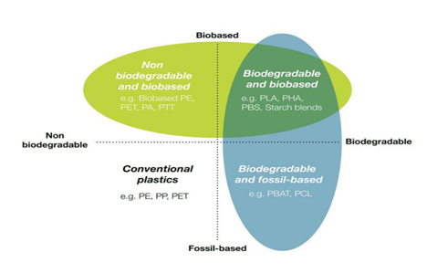 BIODEGRADABLE PLASTICS - Lukmaan IAS Current Affairs