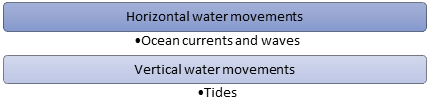 WHAT ARE DIFFERENT TYPES OF OCEAN WATER MOVEMENTS? EXPLAIN THE FORCES ...
