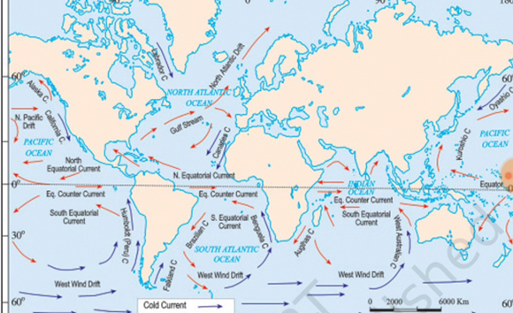 WHAT ARE DIFFERENT TYPES OF OCEAN WATER MOVEMENTS? EXPLAIN THE FORCES ...