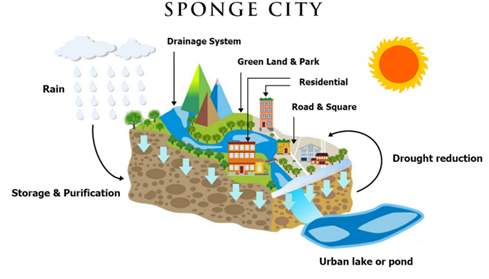 SPONGE CITIES - Lukmaan IAS Current Affairs